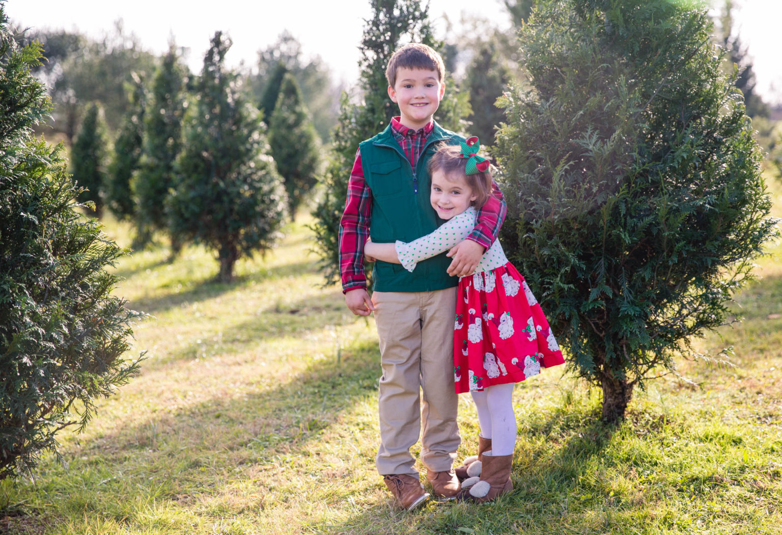 Chattanooga Christmas Tree Farm Mini Sessions 2022 - ellebeaphotography.com