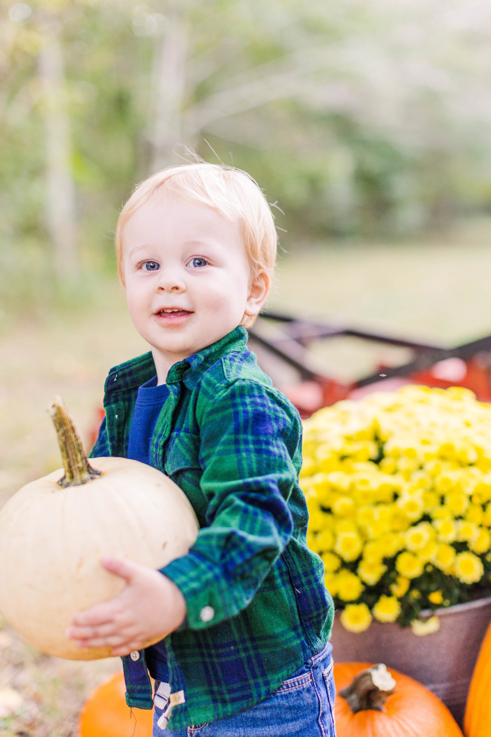 Fall Farm Mini Sessions | Chattanooga Farm Mini Sessions ...